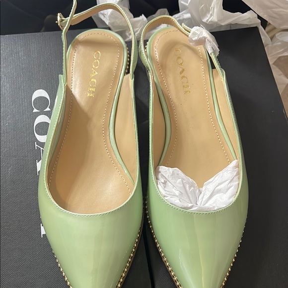 Coach | Shoes | Coach Pale Pistachio Patent Leather Flats | Poshmark